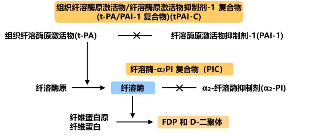 高敏免疫化学发光新技术临床应用进展