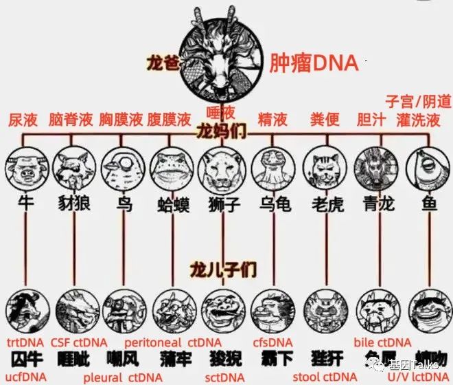液体活检之非血液来源ctDNA！ - 小桔灯网 - IIVD.NET