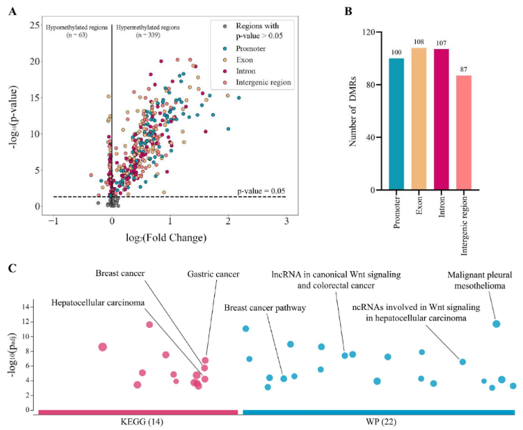 ELife cfDNA IIVD NET ELife cfDNA IIVD NET